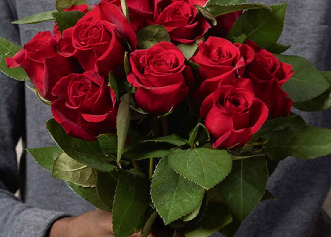 Image is of a dozen red roses